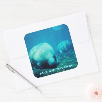 Save Our Manatees Stickers | Zazzle