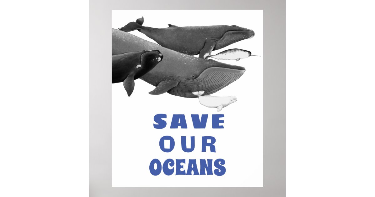 Save Our Oceans Environmental Art Whale Poster | Zazzle