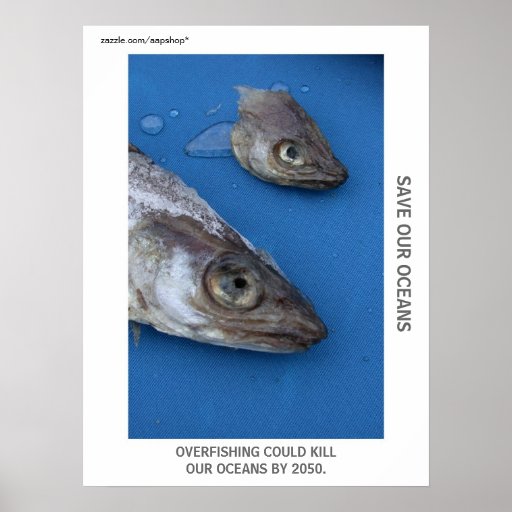 Save our oceans, stop overfishing poster | Zazzle