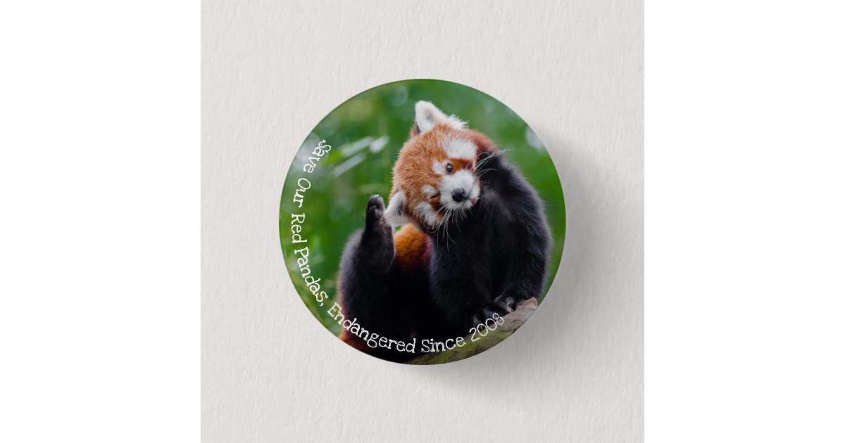 Save Our Red Pandas Button | Zazzle