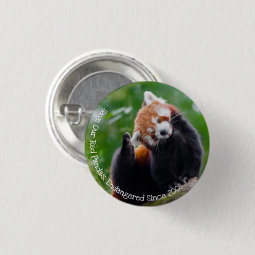 Save Our Red Pandas Button | Zazzle
