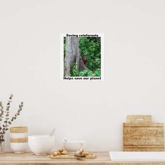 Save Rainforests Poster | Zazzle