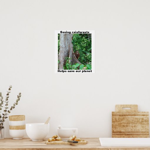 Save Rainforests Poster | Zazzle