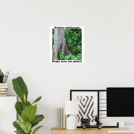 Save Rainforests Poster | Zazzle