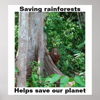 Save Rainforests Poster | Zazzle