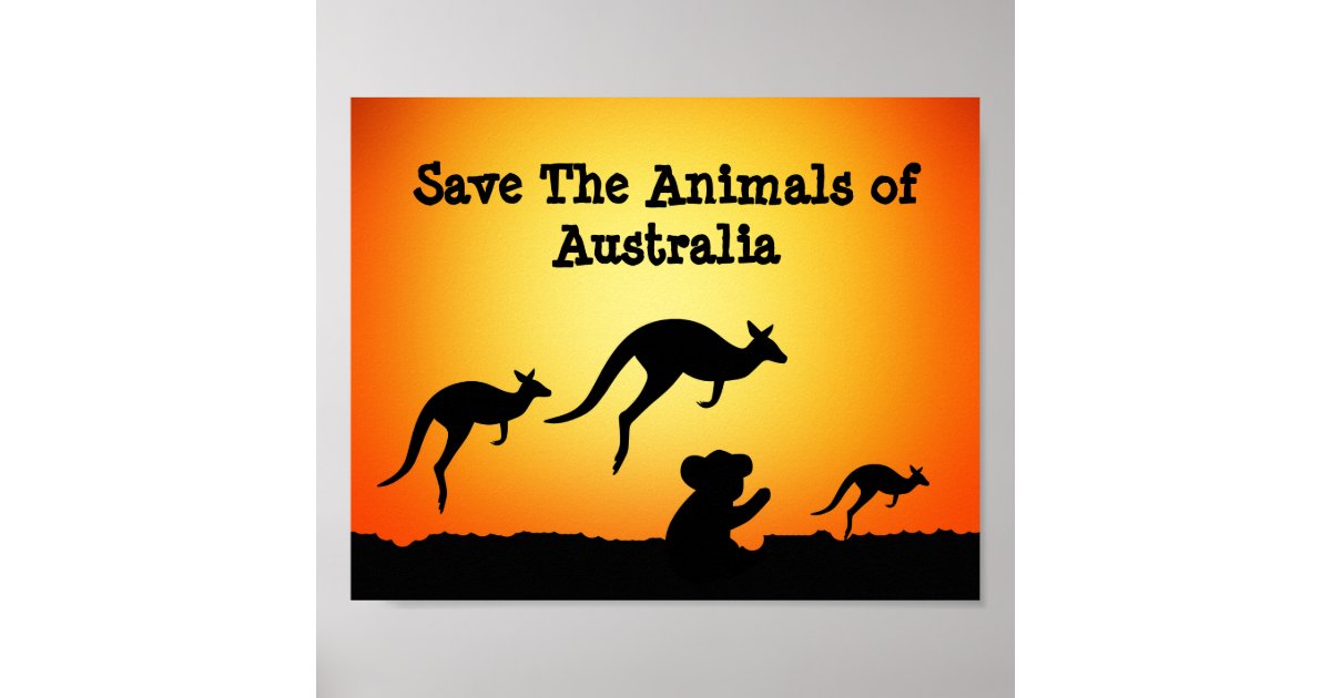 Save The Animals of Australia Poster | Zazzle