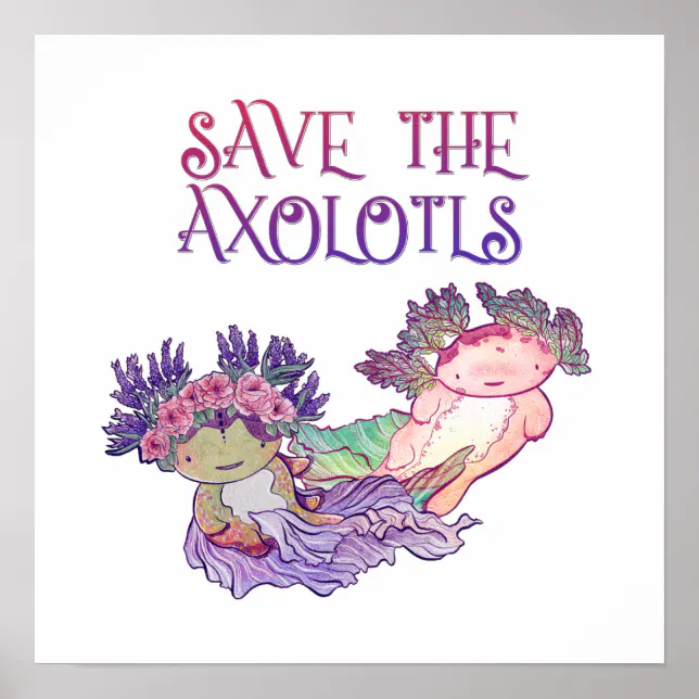 Save the Axolotls,Axolotl,Salamander Poster | Zazzle