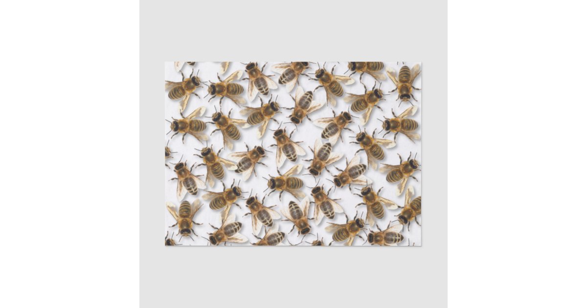 Save the Bee! Save the World! Live Design Tissue Paper | Zazzle
