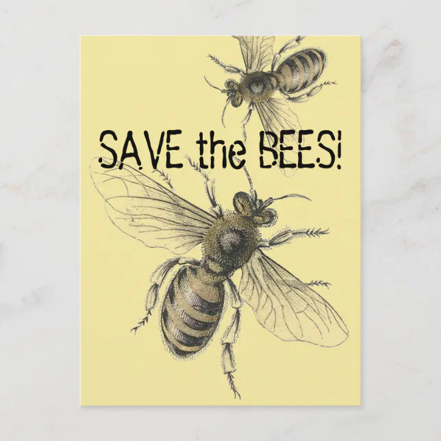 Save the Bees Vintage Bee Images Postcard | Zazzle