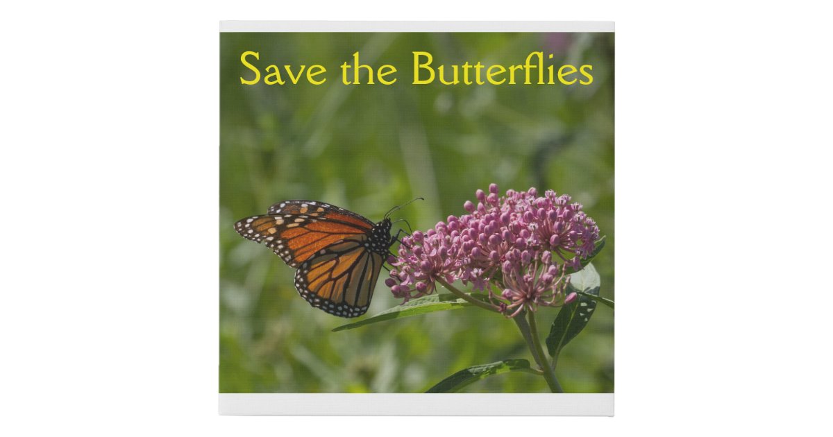 Save the Butterflies "Canvas" Print | Zazzle