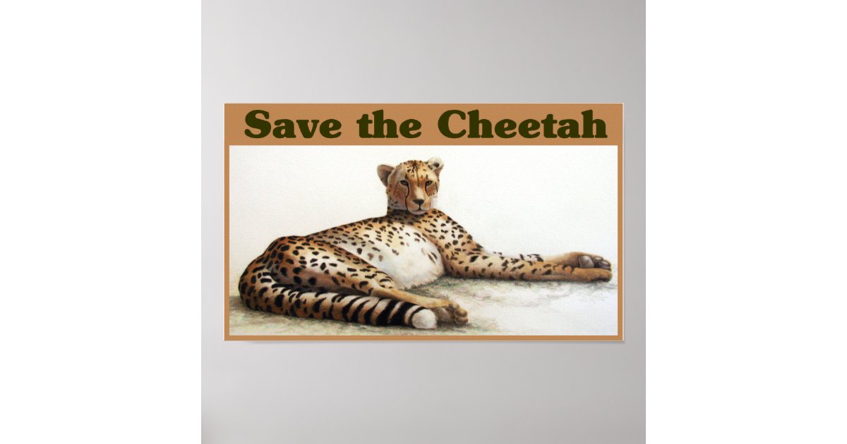 Save the Cheetah Poster | Zazzle