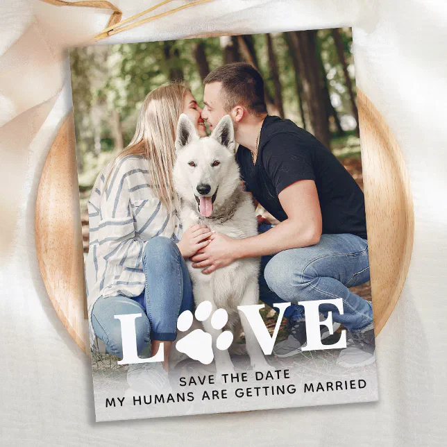 Save The Date Dog Wedding Announcement Postcard | Zazzle