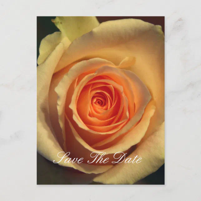 Save the Date Postcard | Zazzle