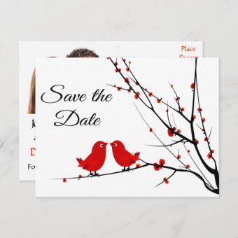 Save the Date Wedding Love Birds Photo Post Card | Zazzle