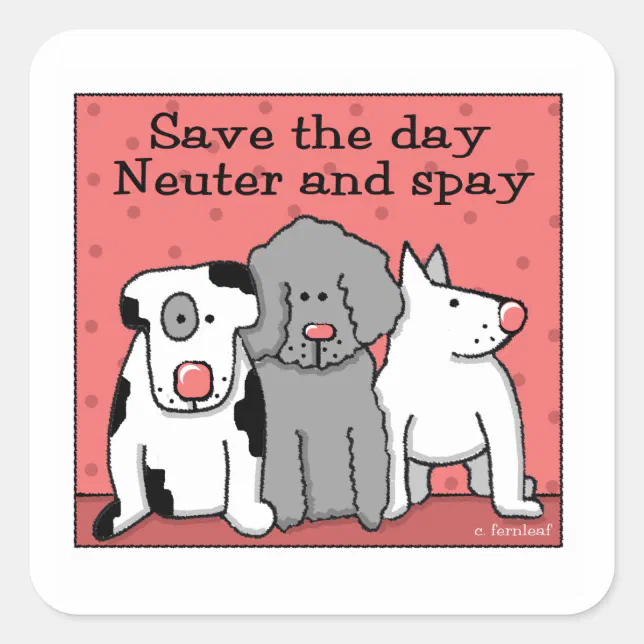 Save the Day, Neuter and Spay Dogs Square Sticker | Zazzle