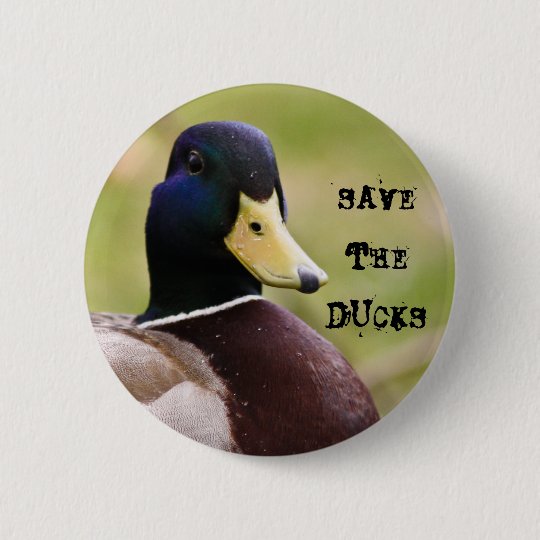 Save The Ducks Button | Zazzle.com