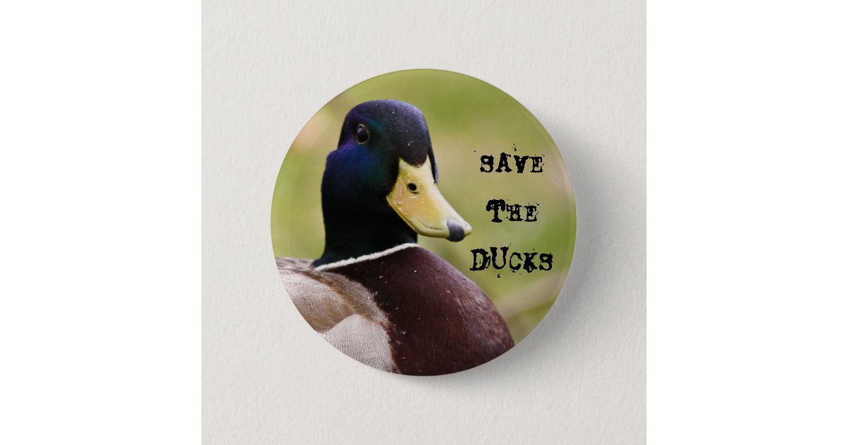 Save The Ducks Button | Zazzle