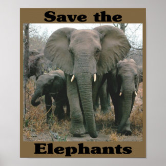 Save Animals Posters | Zazzle