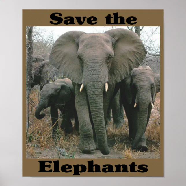 Save the Elephants Poster | Zazzle