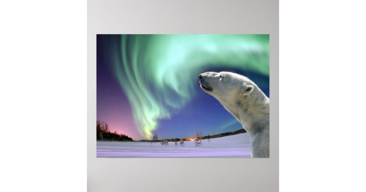 Save the Endangered Polar Bears Poster | Zazzle