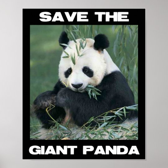 Save the Giant Panda Poster | Zazzle.com