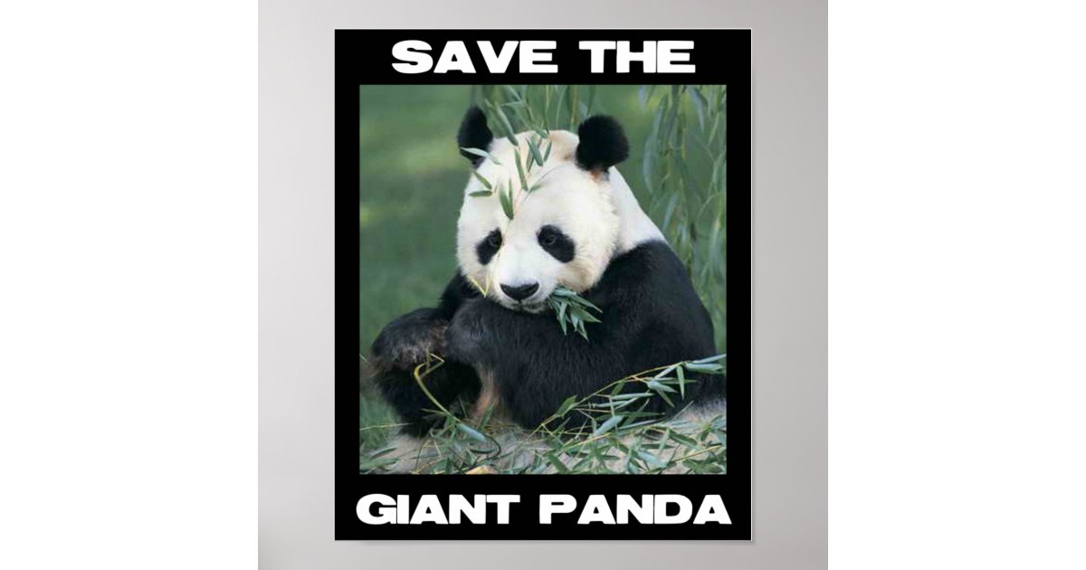 Save the Giant Panda Poster | Zazzle