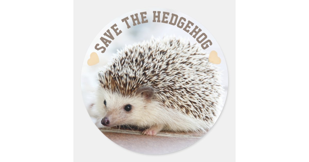 Save The Hedgehog Classic Round Sticker | Zazzle