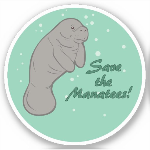 Save the Manatees! Sticker | Zazzle