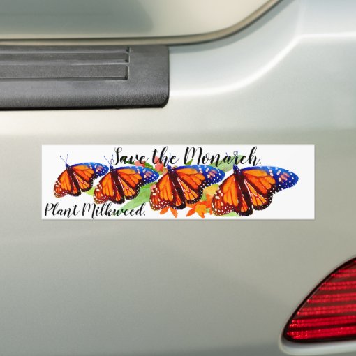 Save The Monarch Butterfly Bumper Sticker | Zazzle