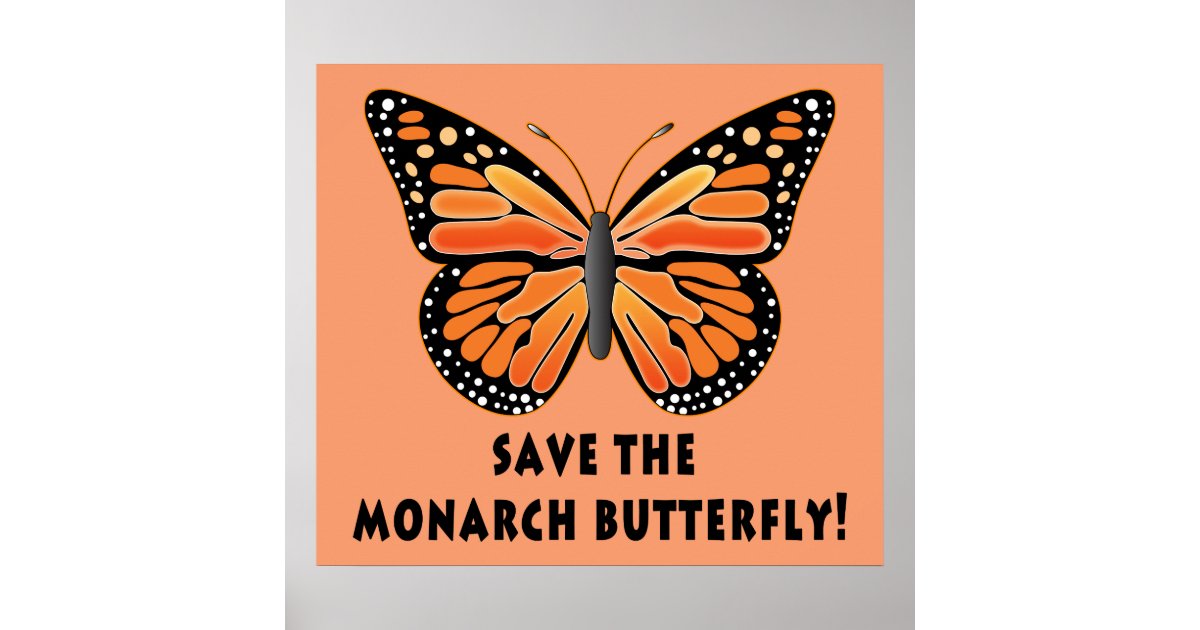 Save the Monarch Butterfly Poster | Zazzle