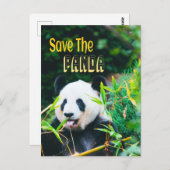 Save The Panda Postcard | Zazzle