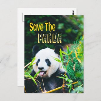 Save The Panda Postcard | Zazzle