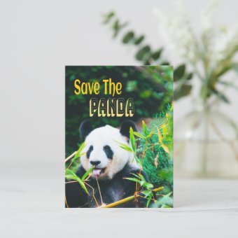Save The Panda Postcard | Zazzle