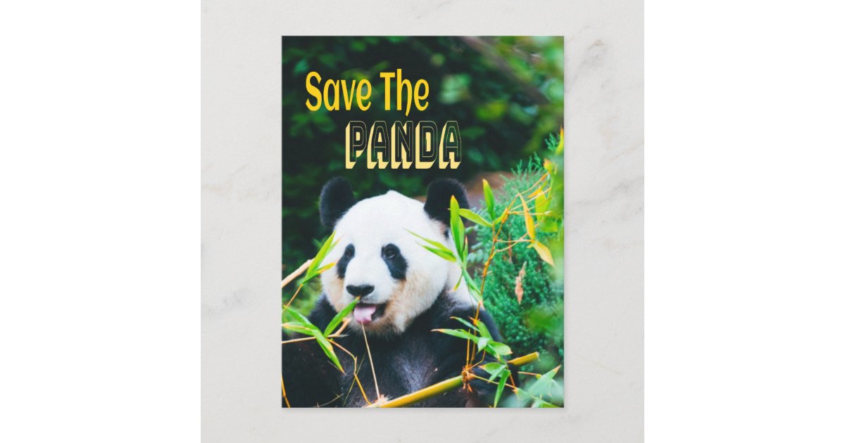 Save The Panda Postcard | Zazzle