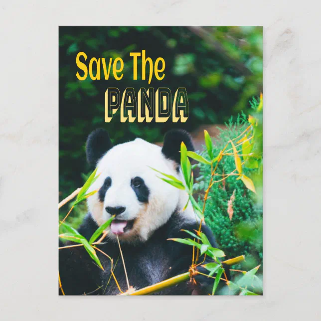 Save The Panda Postcard | Zazzle