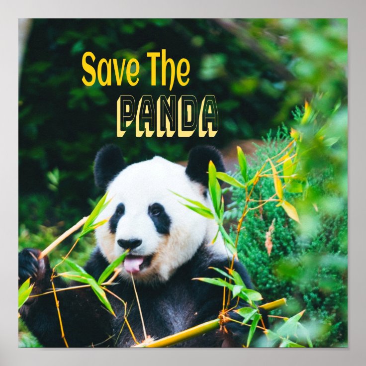 Save The Panda Poster | Zazzle