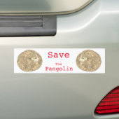 Save the Pangolin Curled Up Endangered Species Bumper Sticker | Zazzle