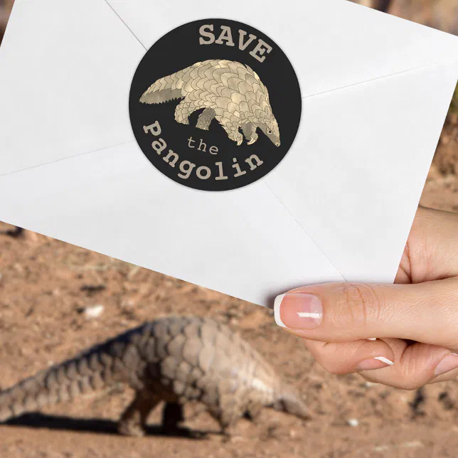 Save the Pangolin Cute Endangered Animal Activist Classic Round Sticker ...