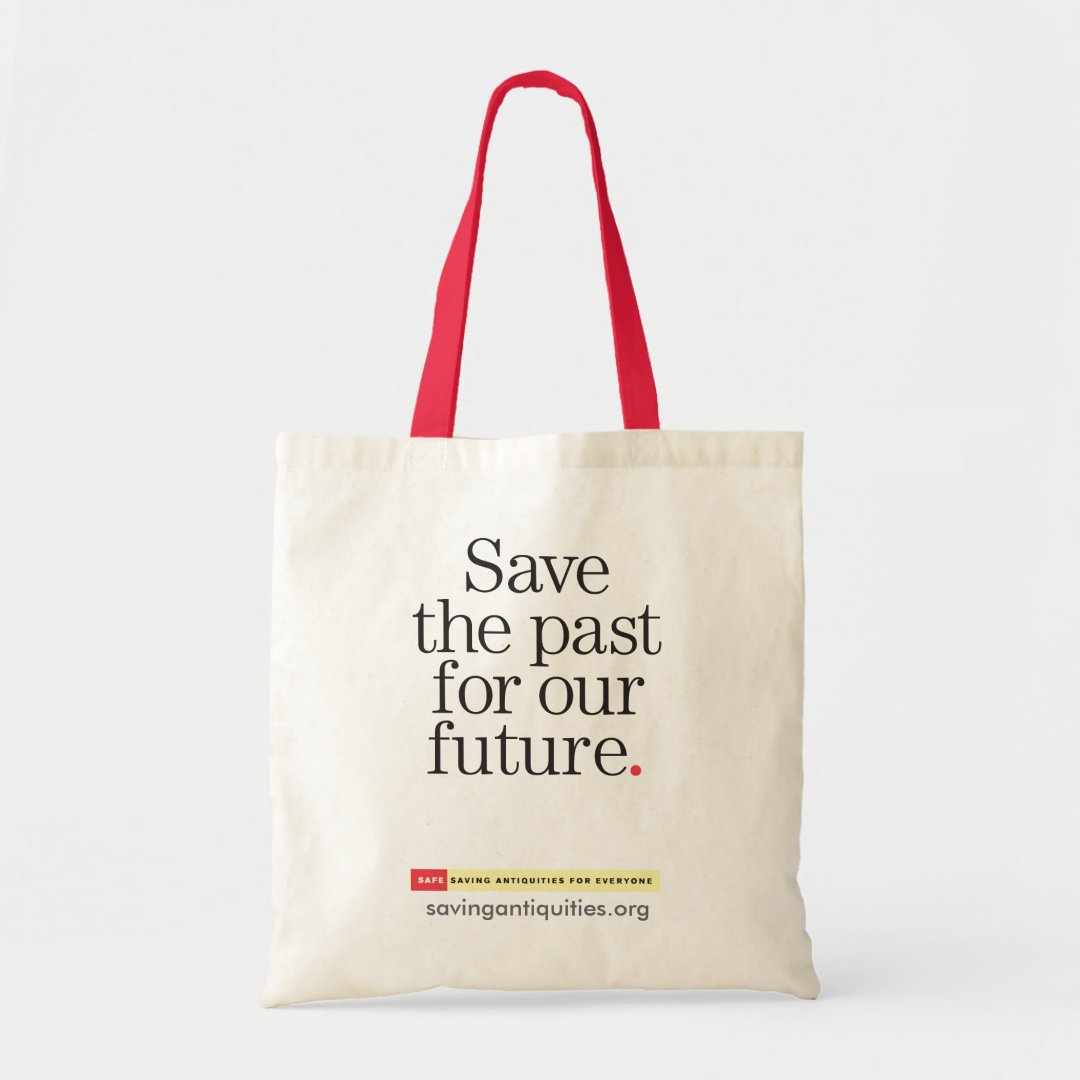 Save the past for our future bag | Zazzle