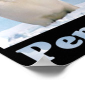 Save the Penguins Poster | Zazzle