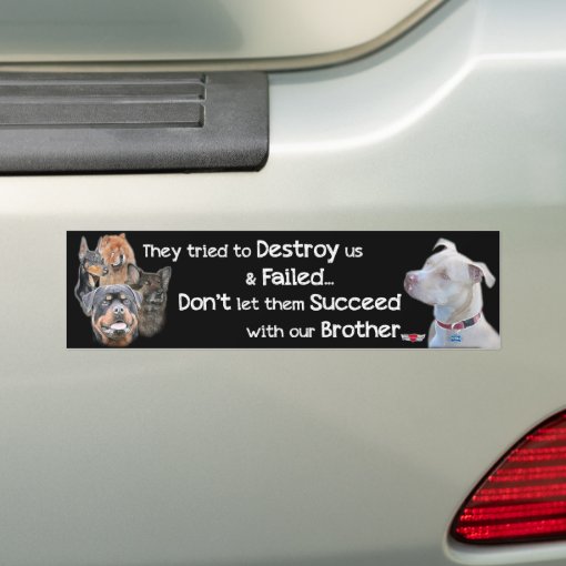 Save the Pitbull Bumper Sticker | Zazzle