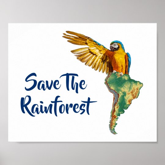 Save The Rainforest Poster | Zazzle.com