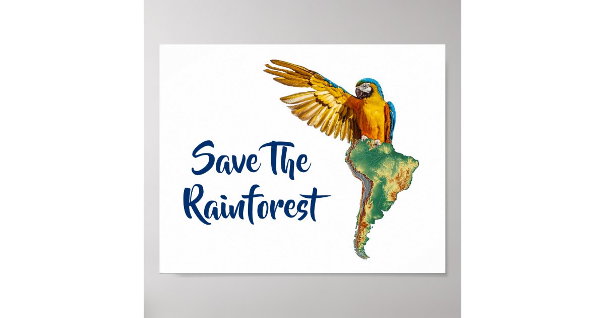 Save The Rainforest Poster | Zazzle