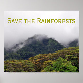 Save The Rainforest Posters | Zazzle
