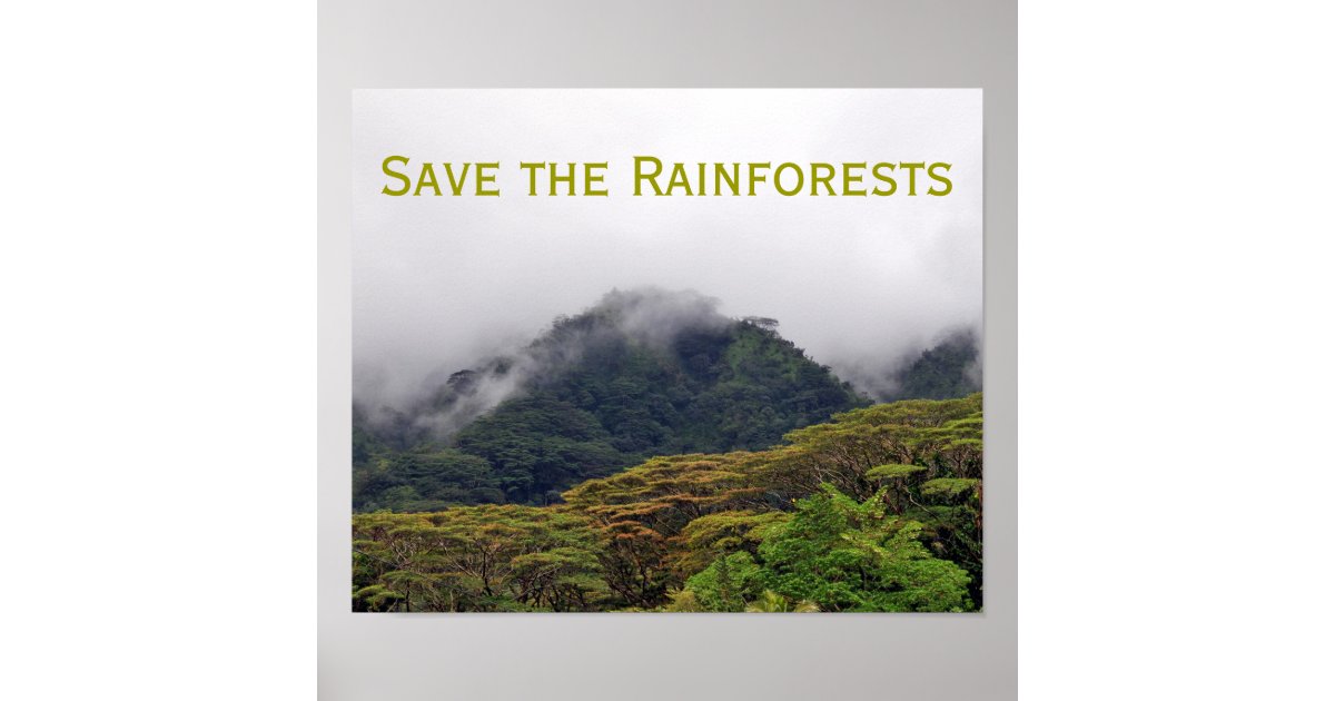 Save the Rainforest Print | Zazzle