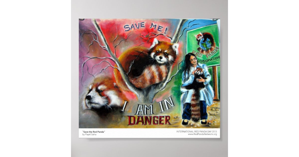“Save the Red Panda” Print | Zazzle