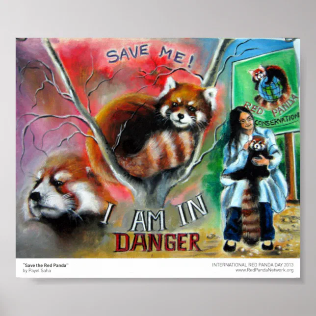 “Save the Red Panda” Print | Zazzle