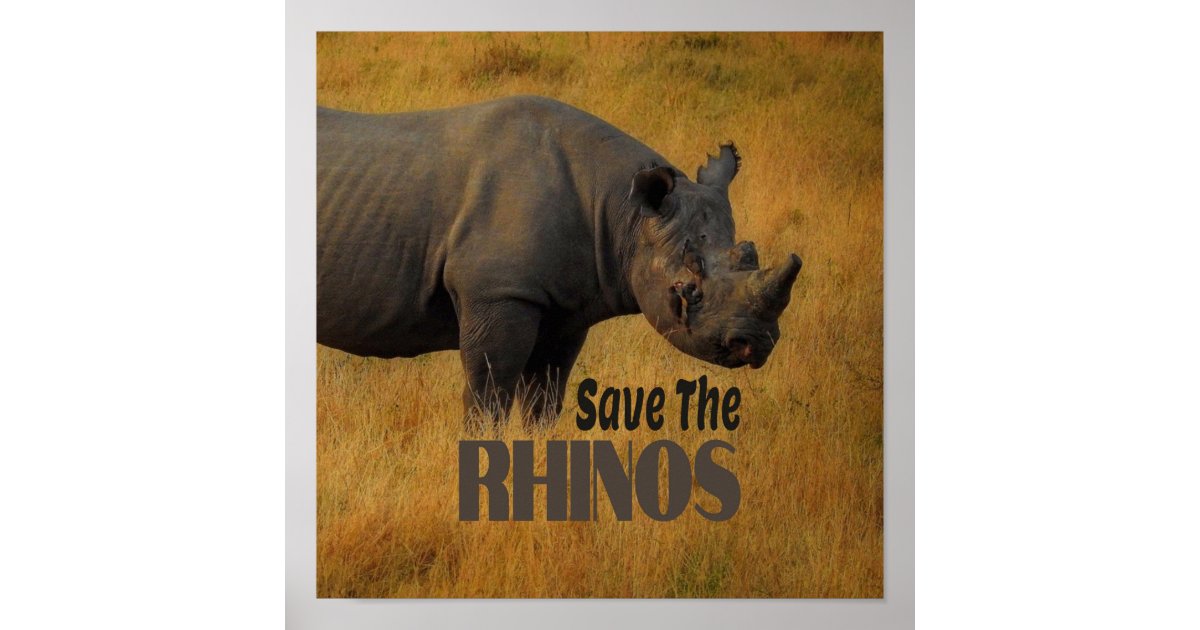 Save The Rhinos Poster | Zazzle