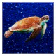 Save the Sea Turtles Poster | Zazzle