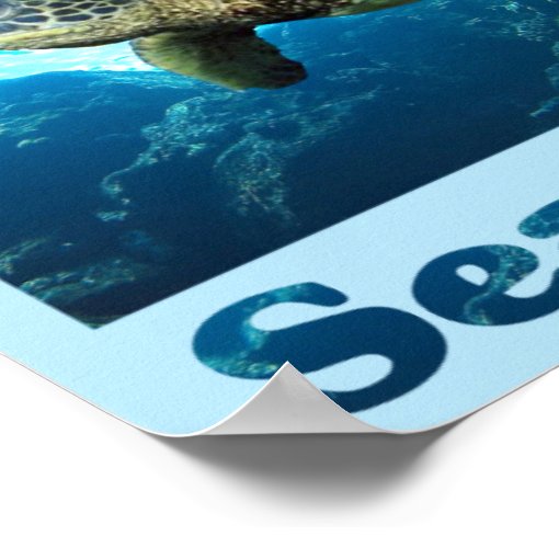 Save the Sea Turtles Poster | Zazzle